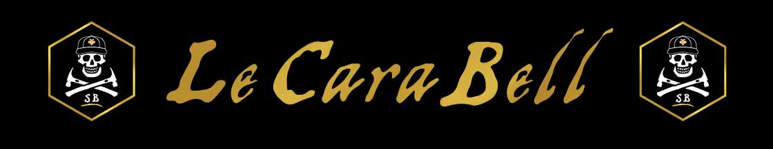 Mr. B's 'Le Cara Bell' Campervan | Visual Wizardry
